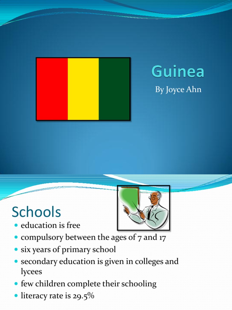 Guinea | PDF | Technology & Engineering