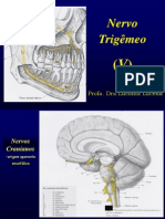 Suturas Do Crânio Resumo | PDF | Anatomia | Anatomia humana