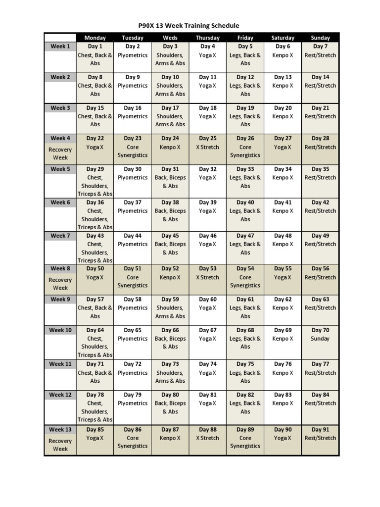 P90X Fitness Guide | PDF | Physical Exercise | Sports