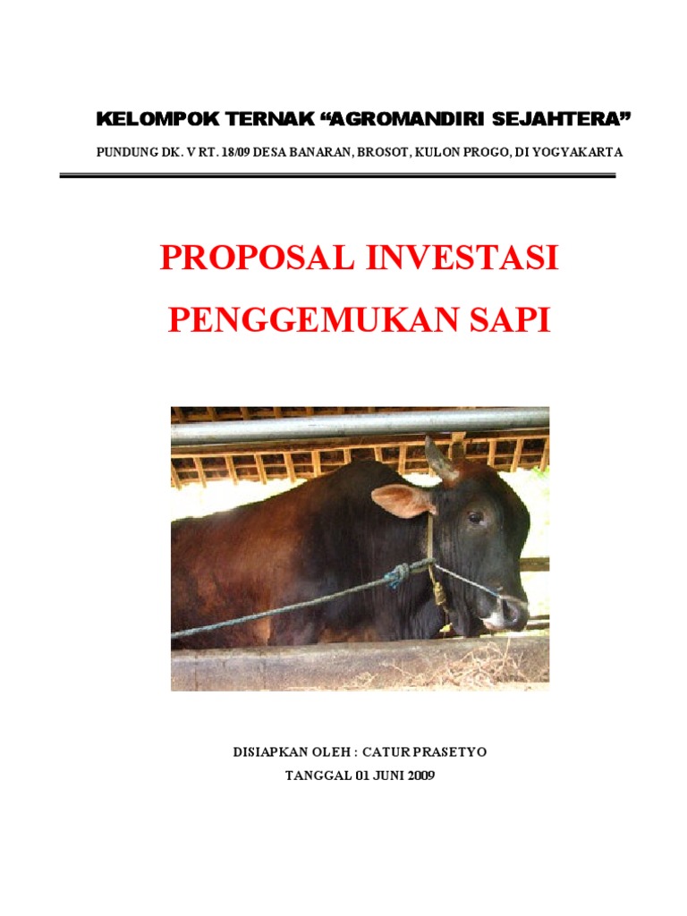 Proposal Bisnis Ternak Sapi Potong | PDF