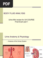 AUB - Intro To Urinalysis | PDF | Urine | Urea