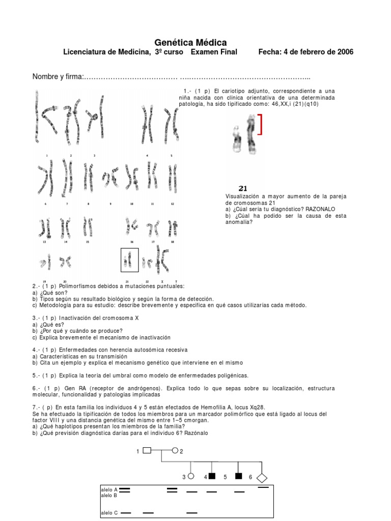 examen genetica | Mutación | Cariotipo