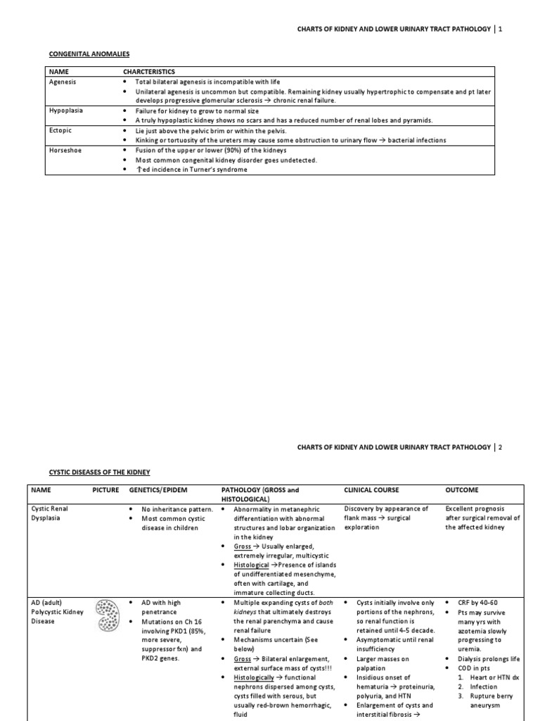 Charts For Kidney and Lower Urinary Tract Pathology. Nephrology | PDF ...