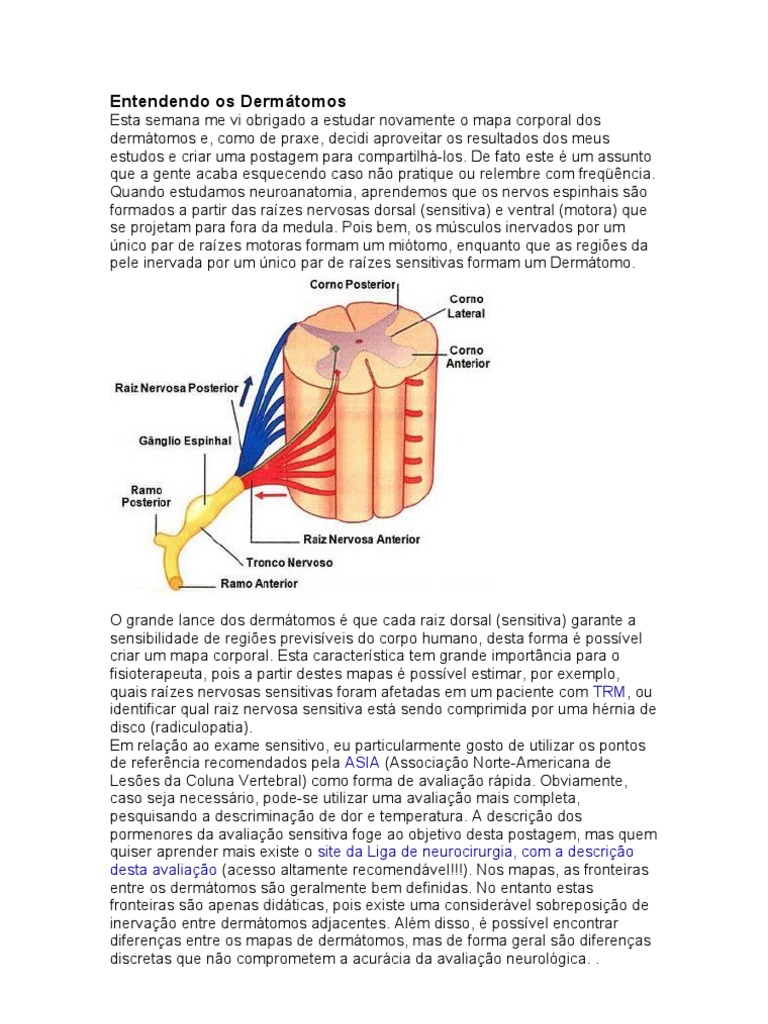 Entendendo os Dermátomos | Coluna Vertebral | Nervo | Avaliação ...