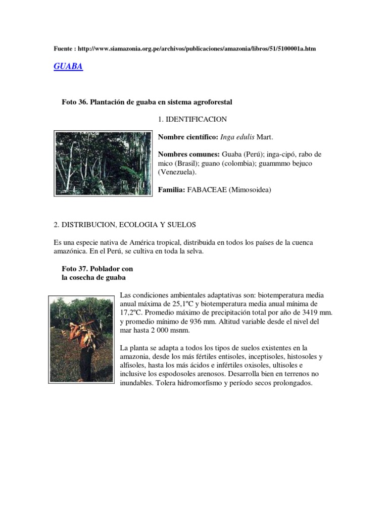 cultivo_guaba | Fruta | Insectos