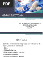 CISTOCLISIS | PDF | Vejiga urinaria | Orina