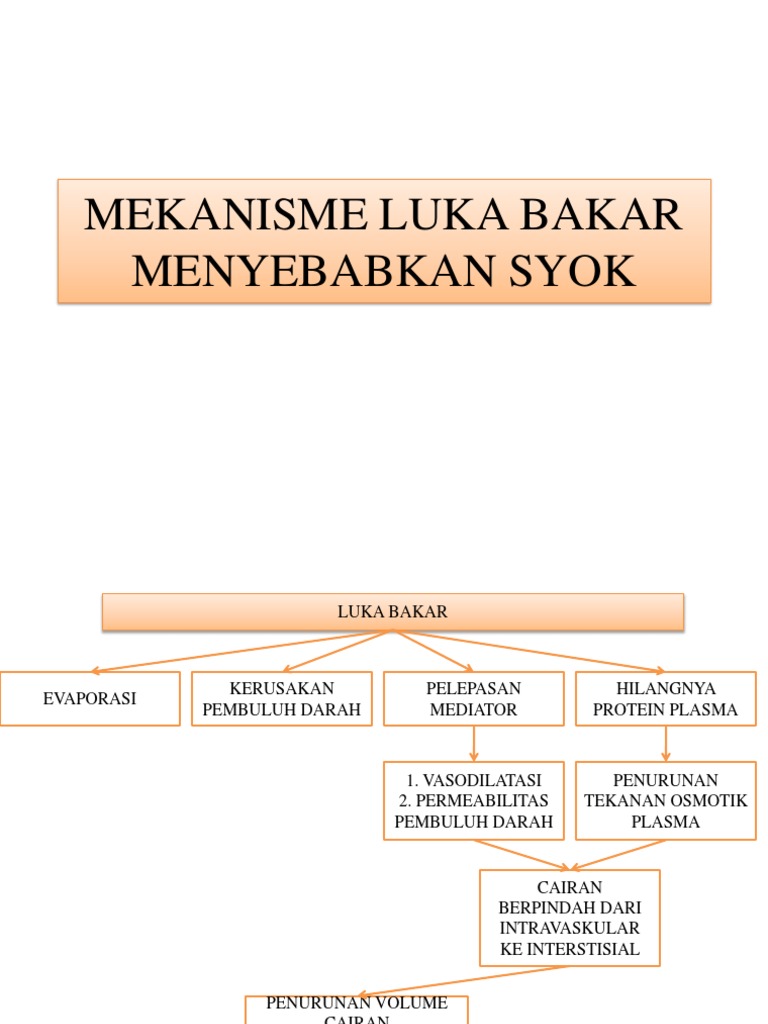 Mekanisme Luka Bakar Menyebabkan Syok | PDF