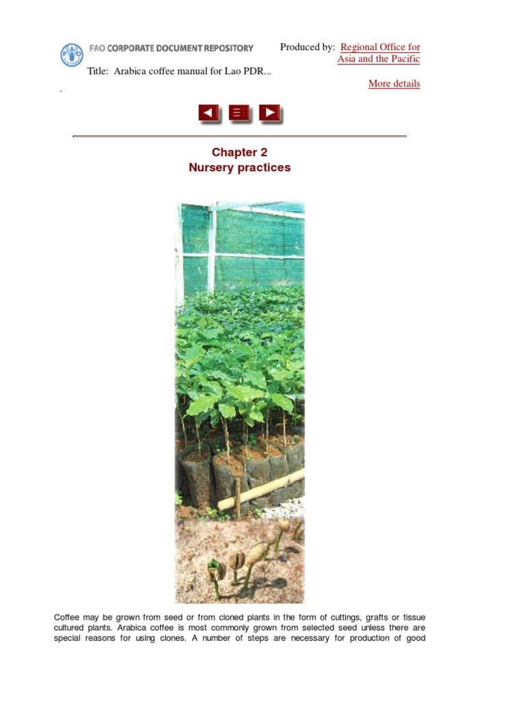 Arabica Coffee Manual for Lao PDR: Nursery Practices for Growing ...