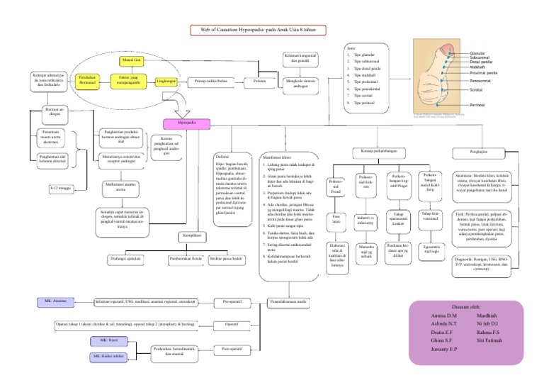 WOC Hypospadia | PDF