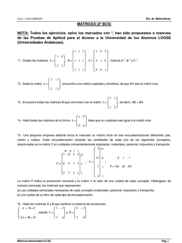 Ejercicios Matrices Selectividad 2011.dotx | PDF | Determinante | Matriz (Matemáticas)