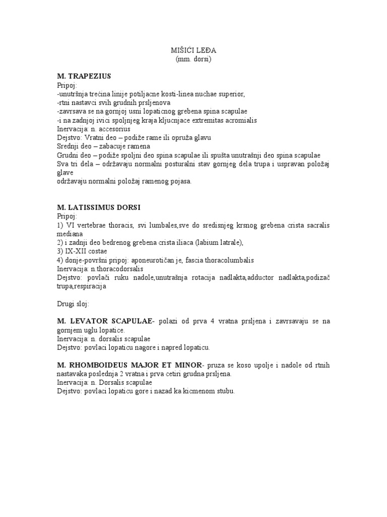 MIŠIĆI LEĐA Za Medicinu | PDF