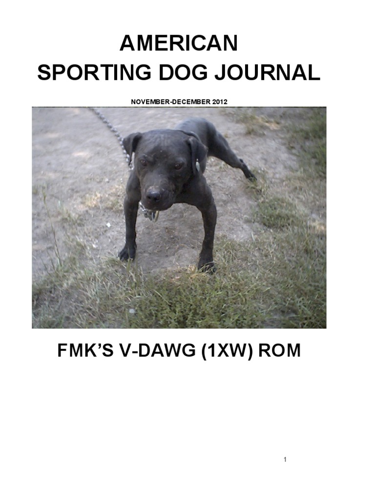 Asdj Nov-Dec 2012 | PDF | Inbreeding | Dog Breeding