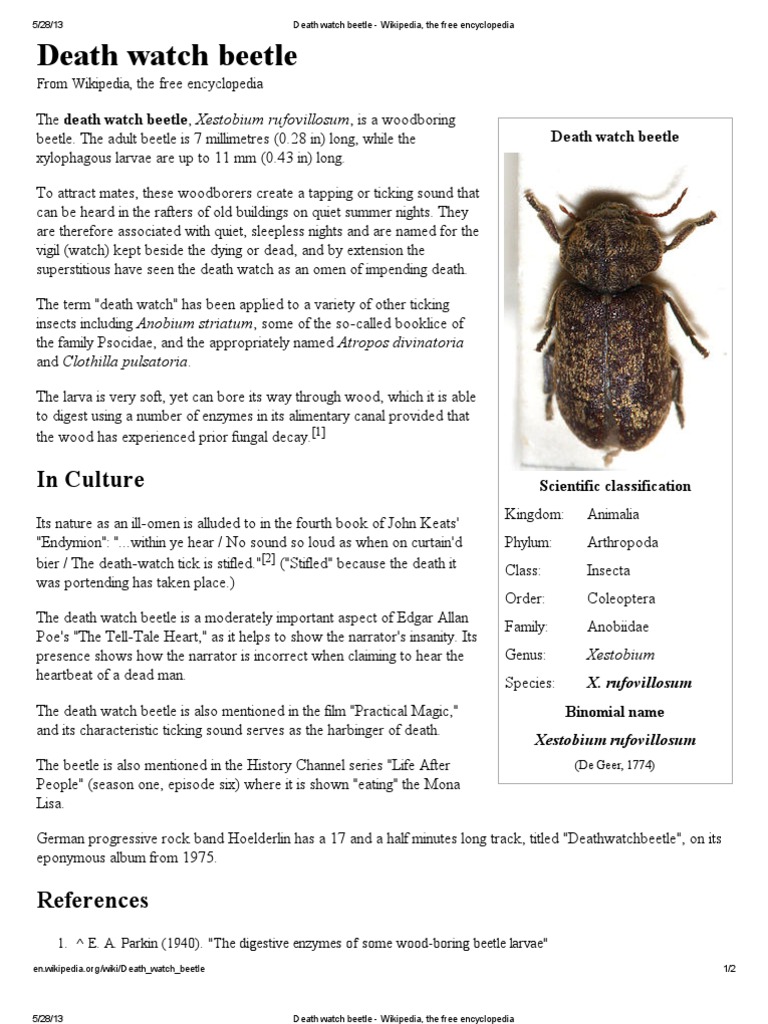 Death Watch Beetle | PDF | Insects | Nature
