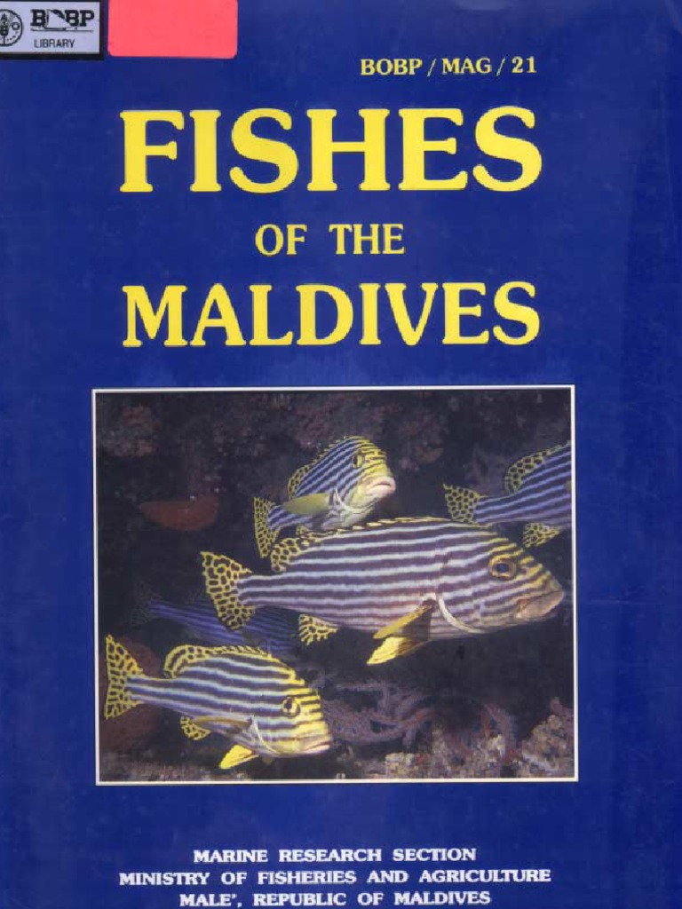 Fishes of The Maldives | PDF | Sharks | Predators