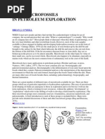 Llanite and The Blue Quartz of Texas | PDF | Granite | Rock (Geology)