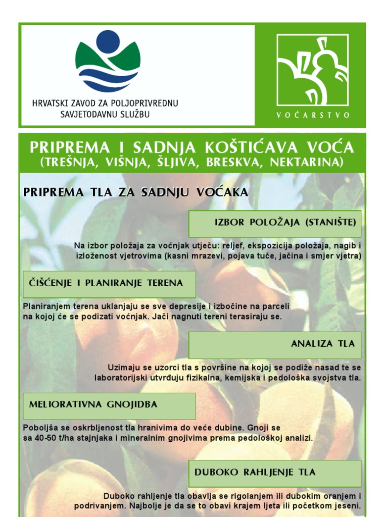 Priprema I Sadnja Tresnje, Visnje, Sljive, Breskve I Nektarine | PDF