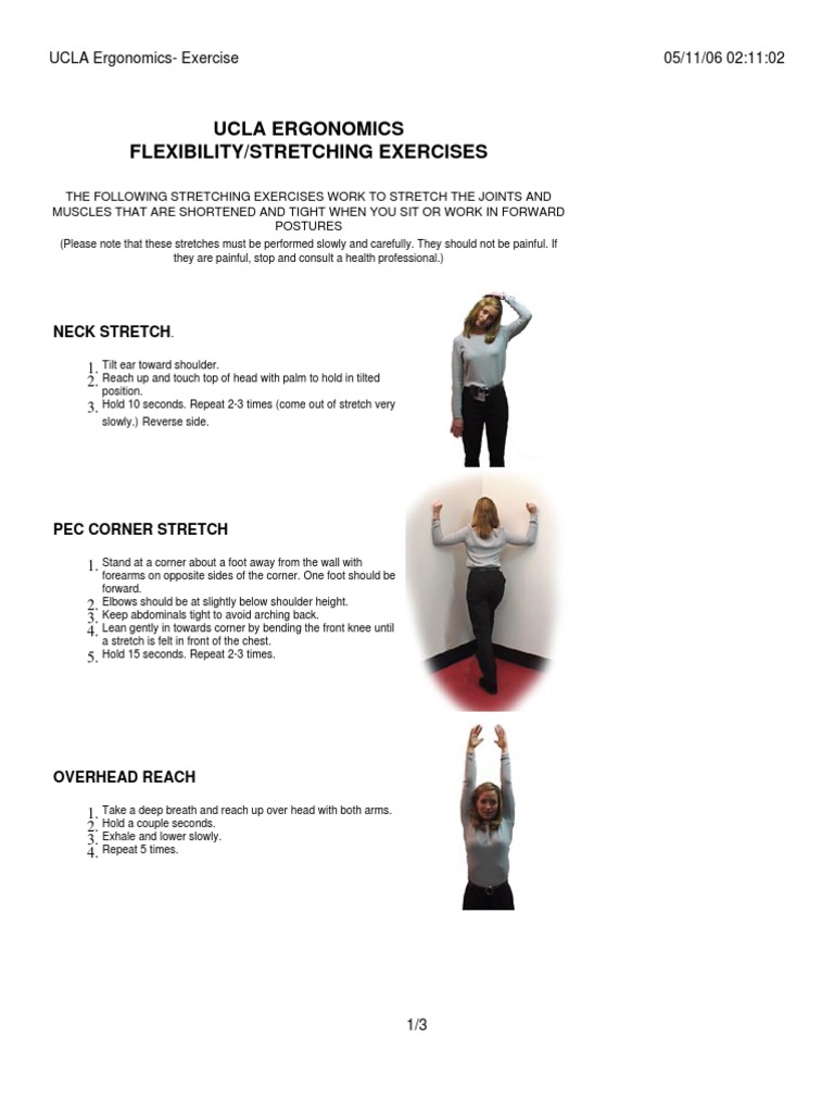 FLEXIBILITY and STRETCHING EXERCISES PDF | PDF | Arm | Hand