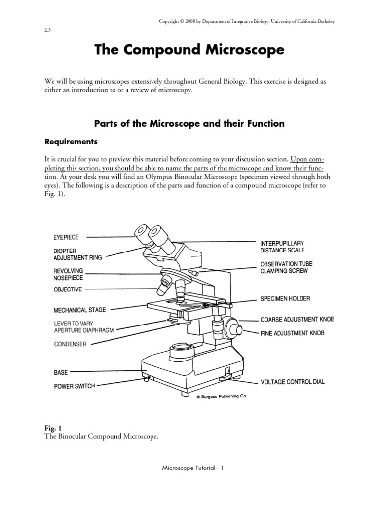 Compund Microscope | PDF | Lens (Optics) | Aperture