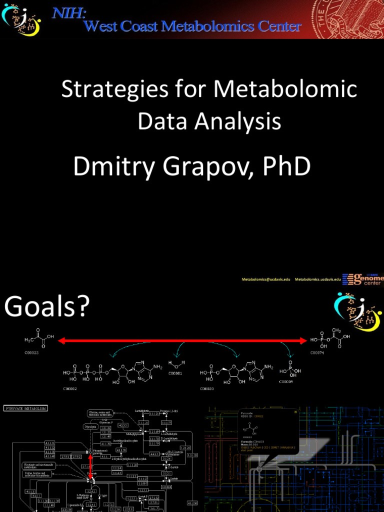 Strategies For Metabolomic Data Analysis Correlation And Dependence