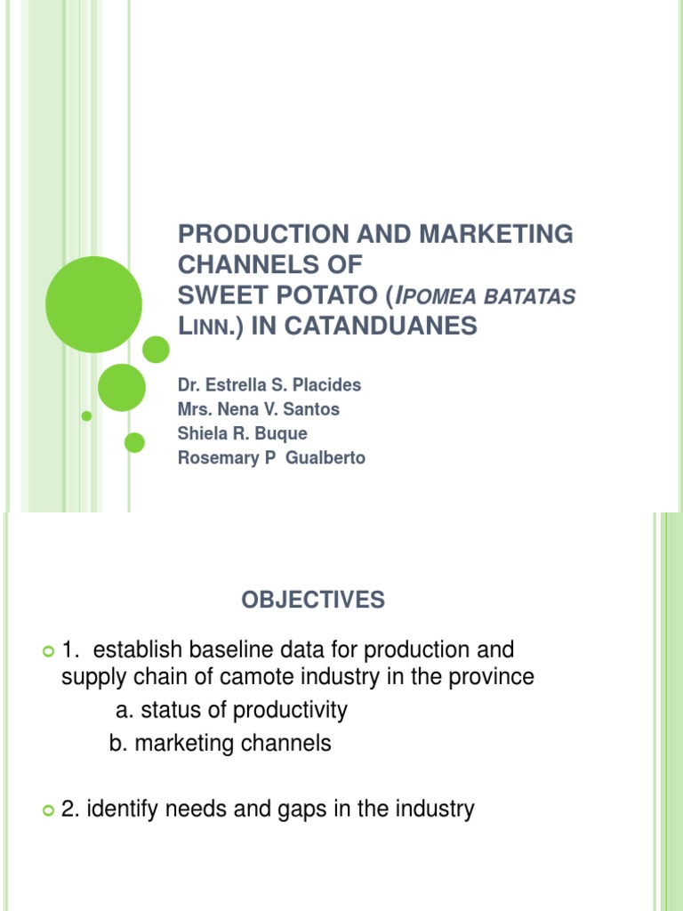 Production and Marketing Channels of | PDF | Sweet Potato | Land Management