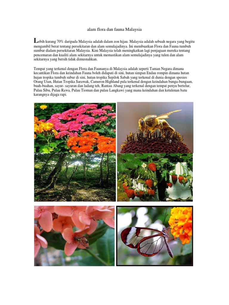 Alam Flora Dan Fauna Malaysia | PDF