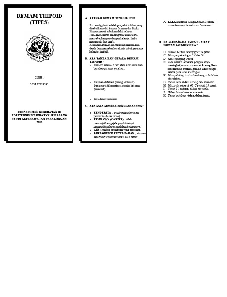 Leaflet Demam Thypoid (Tipes) | PDF