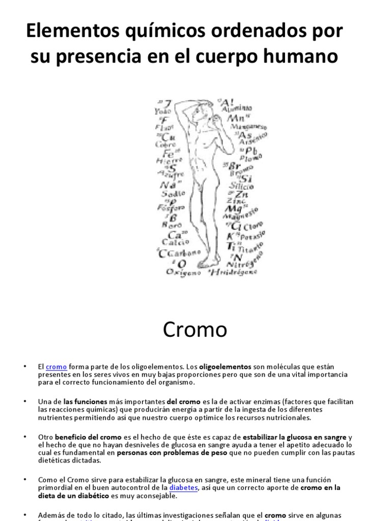 Los principales elementos químicos presentes en el cuerpo humano y sus ...