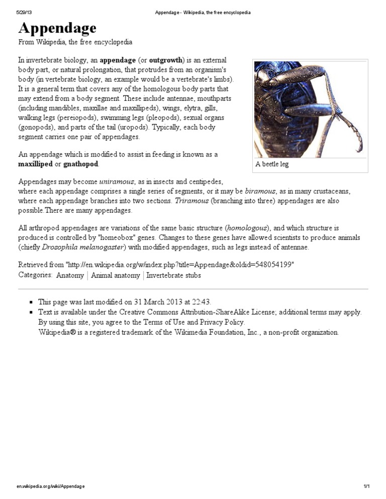 Appendage: From Wikipedia, The Free Encyclopedia | PDF | Social Science ...