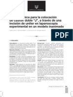 Procedimiento Colocacion y Retiro Cateter Doble J | PDF | Riñón ...
