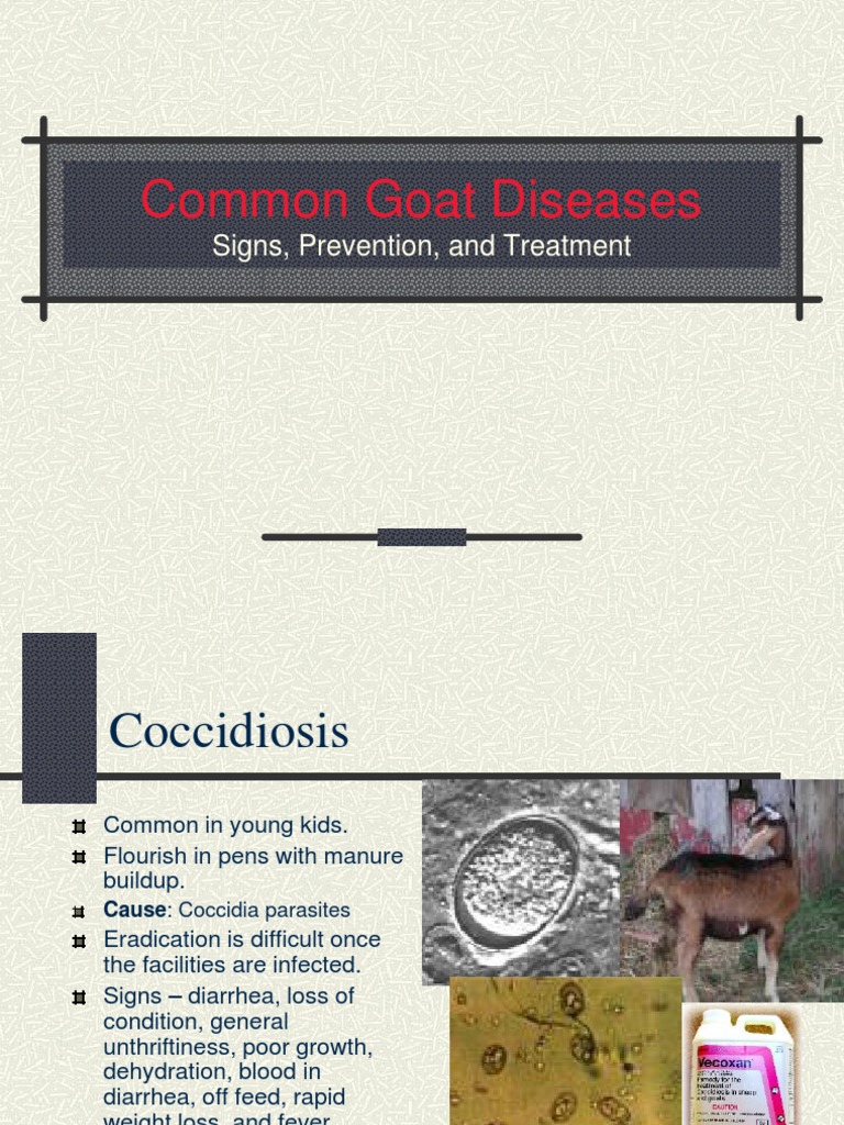 7. Goat Diseases | Infection | Public Health