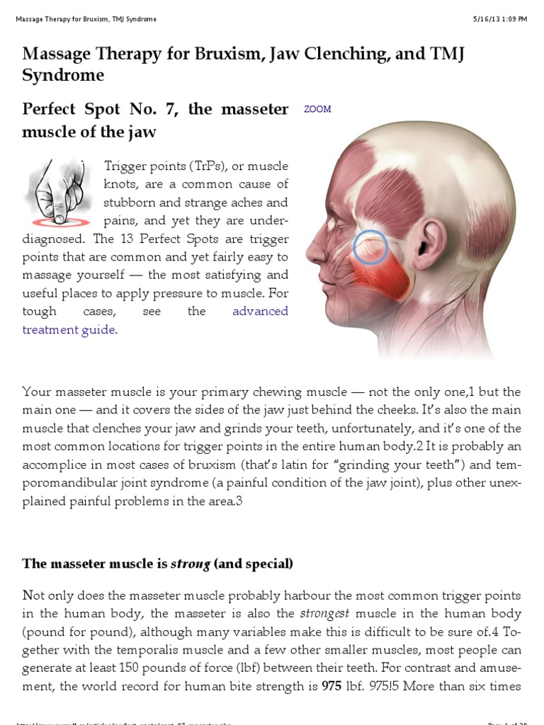 Massage Therapy For Bruxism, TMJ Syndrome | PDF | Myofascial Trigger ...