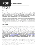 Cavings Poster-1 SLB | PDF | Borehole | Fracture