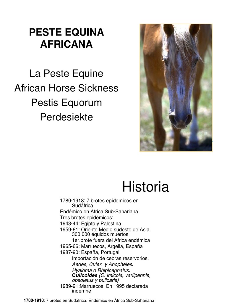 INFECCIOSAS Caballos Peste Equina | PDF | Edema | Influenza