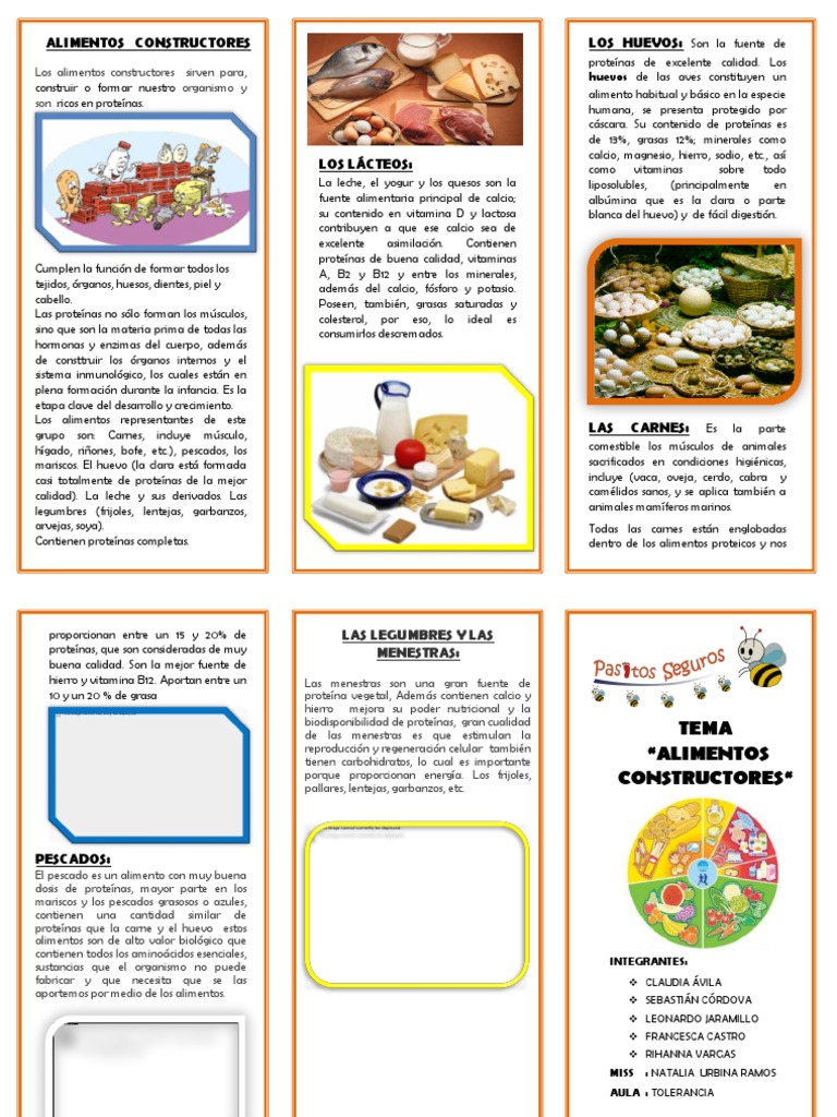 Los Alimentos Constructores Sirven Para, Organismo y Son | PDF ...