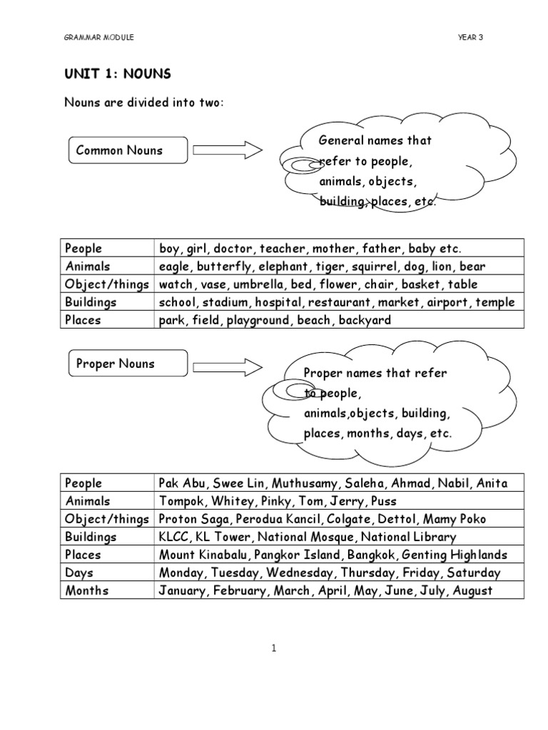 Unit 1: Nouns: Grammar Module Year 3 | PDF | Grammatical Number | Pronoun