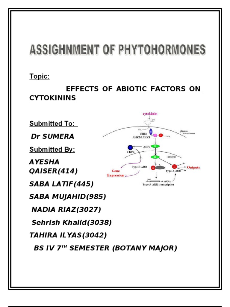 Cytokinin | Plant Hormone | Seedling