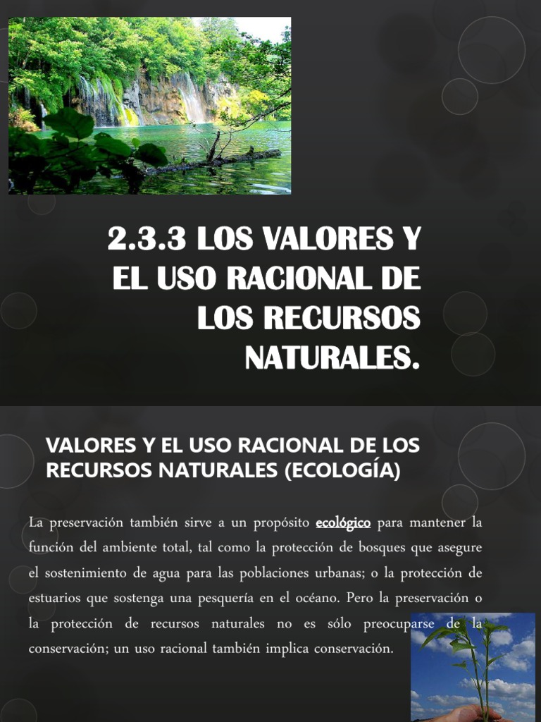 2.3.3 Los Valores Y El Uso Racional de Los Recursos Naturales | PDF ...