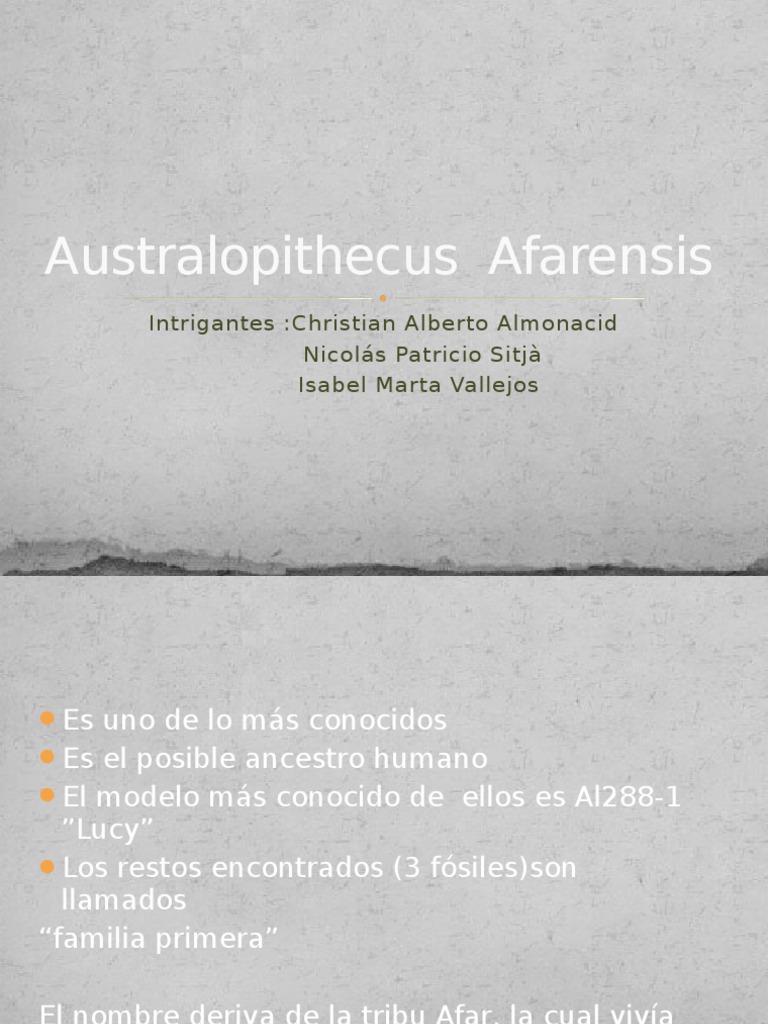 Australopithecus Afarensis | PDF | Lucy (Australopithecus) | Paleontología