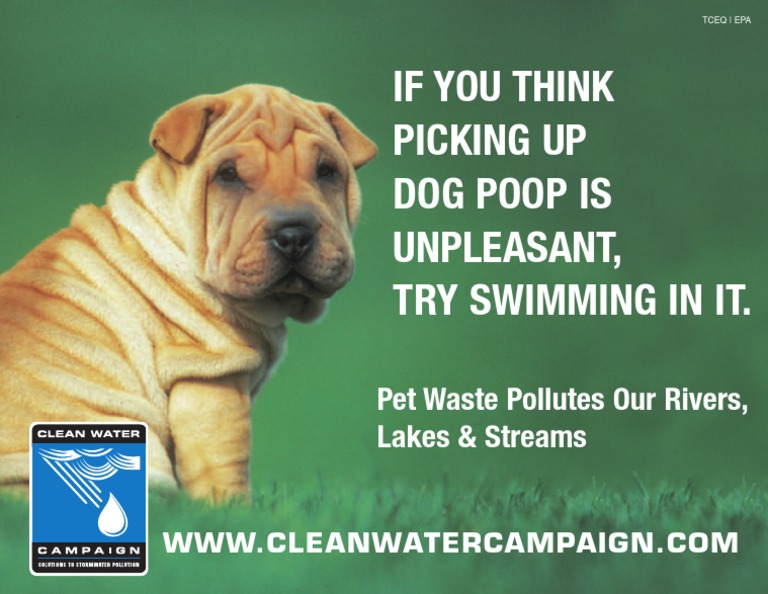 Pet Waste Pollution in Waterways | PDF | Science & Mathematics