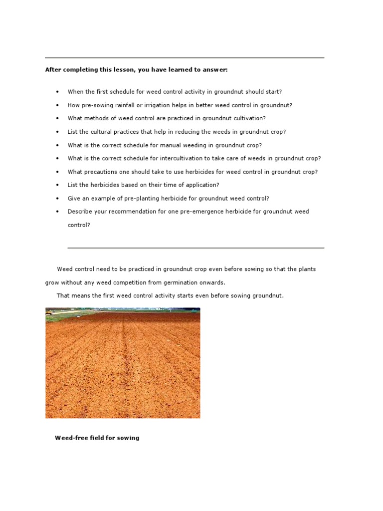 Groundnut Weeding Pdf Weed Herbicide
