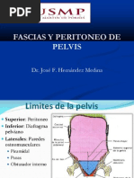 Diafragma Pelvico y Perine Latarjet | PDF | Pelvis | Anatomía humana