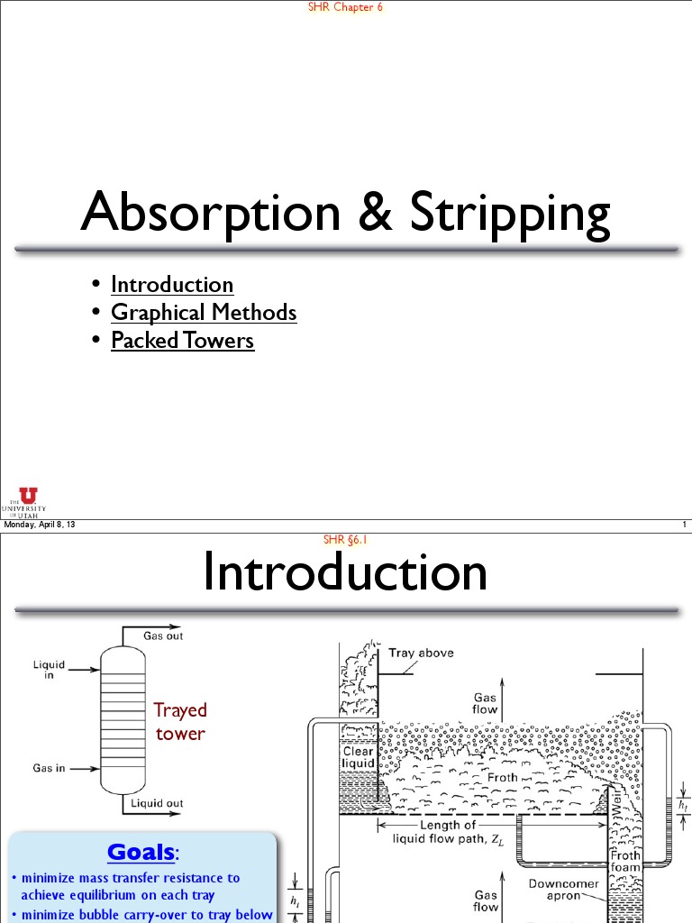 Absorption Stripping | PDF | Chemical Process Engineering | Phases Of Matter