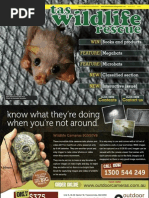 Children Around The World Montessori Cards | PDF | Art | Wellness