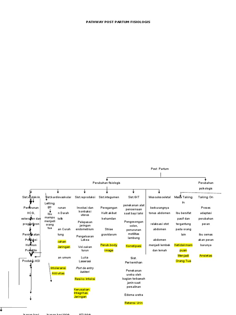 Pathway Post Partum Fisiologis | PDF