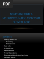 Lobar Function Test. | PDF | Parietal Lobe | Frontal Lobe