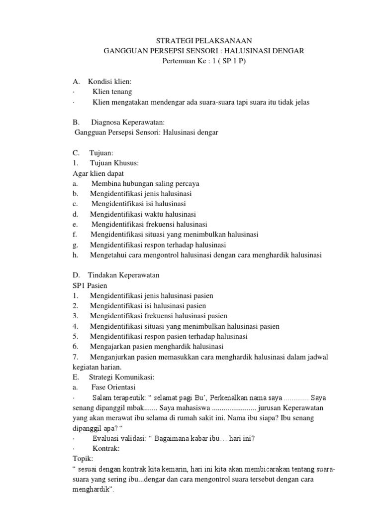 Strategi Pelaksanaan Halusinasi | PDF