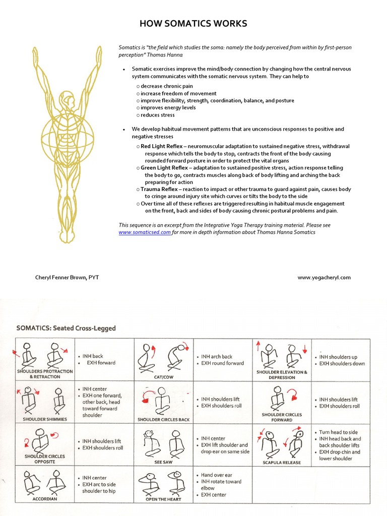 Somatics Yin Yoga | PDF