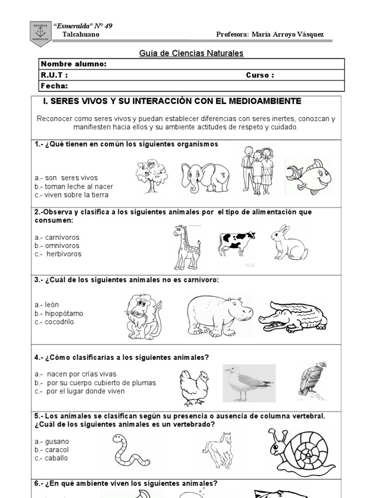 SERES VIVOS Y SU INTERACCIÓN | Tierra | Organismos | Prueba gratuita de ...