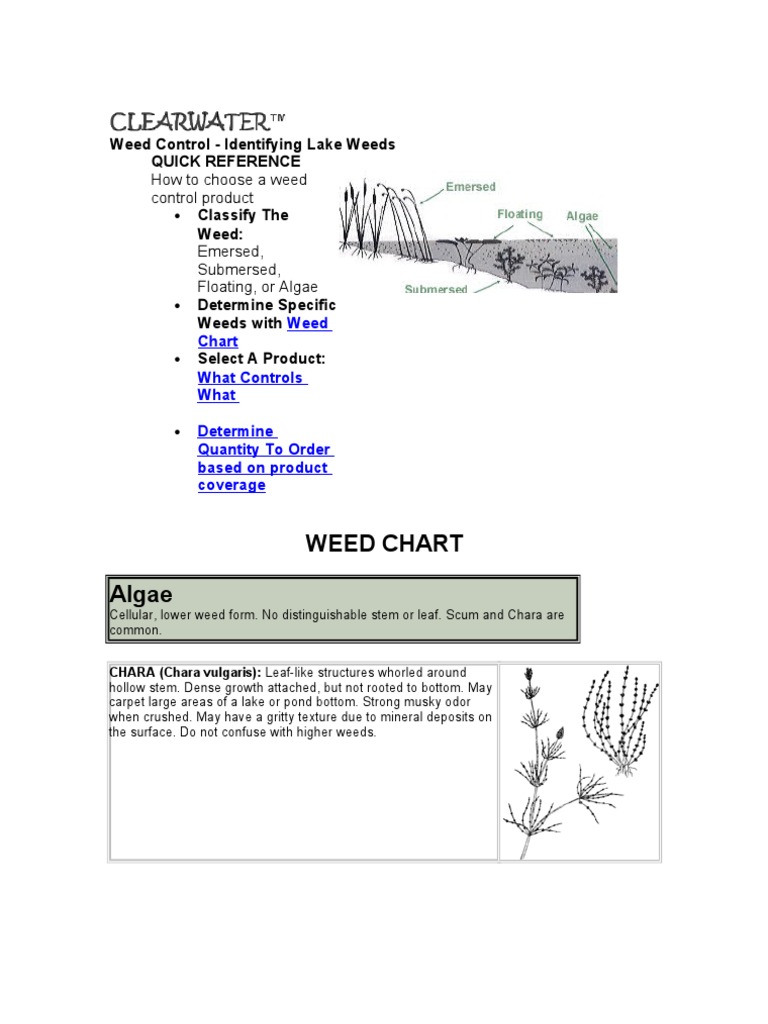Weed Chart Algae: Weed Control - Identifying Lake Weeds Quick Reference ...