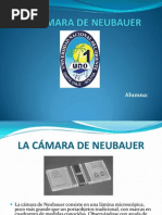 Fórmula para Cálculo de Conteo Celular en Cámara de Neubauer 2014 | PDF ...